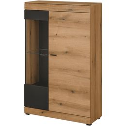 Vitrine Home Affaire "Soleto, Vitrinenschrank in Evoke Eiche, moderne Glasvitrine", eiche evoke, B:90cm H:141cm T:35cm, FSC-zertifizierter Holzwerkstoff, Schr&auml;nke, Vitrine, ausreichend Stauraum, schwarze Griffe aus Metall, zeitlos