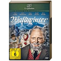 DVD &raquo;Waldwinter&laquo;