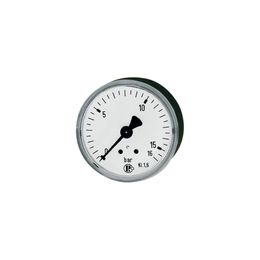 Riegler Standardmanometer, Stahlblechgeh., G 1/4 hinten, 0-6,0 bar, &Atilde;&tilde; 50 (205)