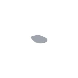 Geberit WC-Sitz Renova mh, o Abs, Befestig. v unt, Scharn. ES (572165010)