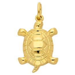 Adelia&acute;s Kettenanh&auml;nger ADELIA&acute;S "585 Gold Anh&auml;nger Schildkr&ouml;te", gold, Schmuckanh&auml;nger, Damen, Gold, Kettenanh&auml;nger, Goldschmuck f&uuml;r Damen
