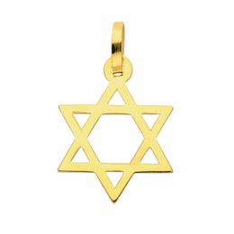 Adelia&acute;s Kettenanh&auml;nger ADELIA&acute;S "Anh&auml;nger Stern 585 Gold ( 14K )", gold, Schmuckanh&auml;nger, M&auml;dchen, Gold, Kettenanh&auml;nger, Goldanh&auml;nger Stern