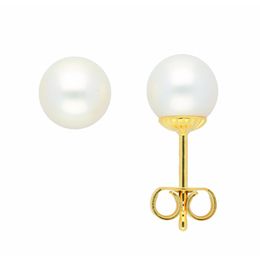 Adelia&acute;s Paar Ohrstecker ADELIA&acute;S "Perlen Ohrstecker Ohrringe 333 Gold ( 8K )", wei&szlig; (gold), Ohrringe, Damen, Damen, Gold, Goldohrringe Perle