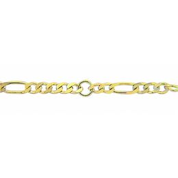 Adelia&acute;s Fu&szlig;kette ADELIA&acute;S "Figaro Fu&szlig;kettchen 333 Gold ( 8K )", gold, Fu&szlig;ketten, Damen, Gold, Goldfu&szlig;kette Figaro