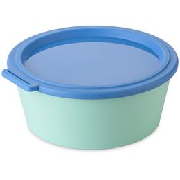 Aufbewahrungssch&uuml;ssel Koziol "NORA BOX 1,3l Schale 1,3l mit Deckel", sweet gr&uuml;n, strong blau, B:18,8cm H:8cm, Kunststoff, Lebensmittelaufbewahrungsbeh&auml;lter