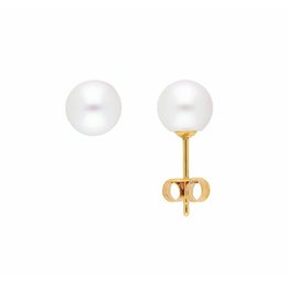 Adelia&acute;s Paar Ohrstecker ADELIA&acute;S "Perlen Ohrstecker Ohrringe 585 Gold ( 14K )", gold, Ohrringe, Damen, Damen, Gold, Goldohrringe Perle
