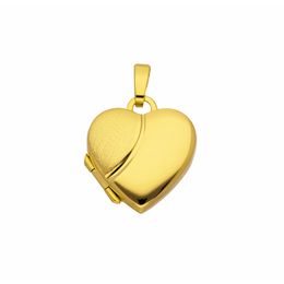 Adelia&acute;s Medallionanh&auml;nger ADELIA&acute;S "Medaillon 333 Gold ( 8K )", gold, Schmuckanh&auml;nger, Damen, Gold, Goldanh&auml;nger