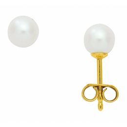 Adelia&acute;s Paar Ohrstecker ADELIA&acute;S "Perlen Ohrstecker Ohrringe 585 Gold ( 14K )", gold, Ohrringe, Damen, Damen, Gold, Goldohrringe Perle