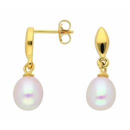 Adelia&acute;s Paar Ohrstecker ADELIA&acute;S "Perlen Ohrstecker Ohrringe 333 Gold ( 8K )", gold, Ohrringe, Damen, Damen, Gold, Goldohrringe Perle