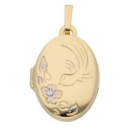 Adelia&acute;s Kettenanh&auml;nger ADELIA&acute;S "333 Gold Medaillon Anh&auml;nger", gold, Schmuckanh&auml;nger, Damen, Gold, Kettenanh&auml;nger, Goldschmuck f&uuml;r Damen