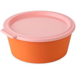 Aufbewahrungssch&uuml;ssel Koziol "NORA BOX 1,3l Schale 1,3l mit Deckel", strong coral, sweet pink, B:18,8cm H:8cm, Kunststoff, Lebensmittelaufbewahrungsbeh&auml;lter
