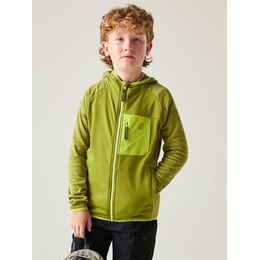 Dare 2b Funktionsjacke "Expedition" in Gr&uuml;n - 55% | Gr&ouml;&szlig;e 164 | Kinderjacken