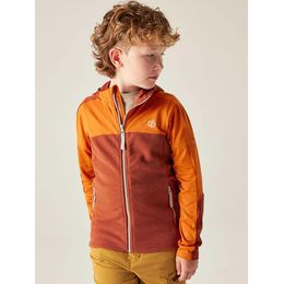 Dare 2b Funktionsjacke "Thriving IV" in Bordeaux/ Orange - 61% | Gr&ouml;&szlig;e 164 | Kinderjacken