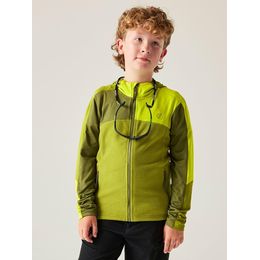 Dare 2b Funktionsjacke "Thriving IV" in Khaki - 60% | Gr&ouml;&szlig;e 158 | Kinderjacken