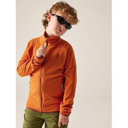 Dare 2b Funktionsjacke "Switch Out" in Orange - 61% | Gr&ouml;&szlig;e 140 | Kinderjacken