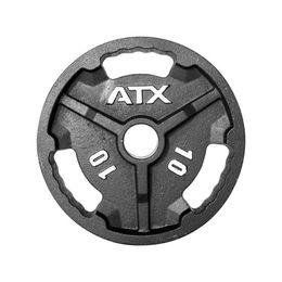ATX Hantelscheiben - Guss 50 mm 10 kg