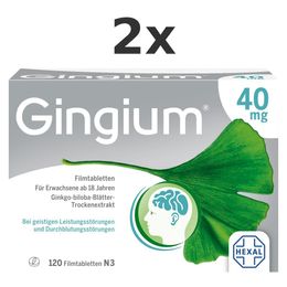 HEXAL&reg; 2x Gingium 40 mg Filmtabletten 120 St