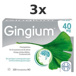HEXAL&reg; 3x Gingium 40 mg Filmtabletten 120 St