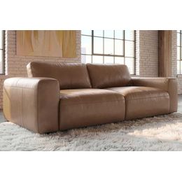 Riess Ambiente Echtleder Sofa BIG GEORGE 245cm cognac Taschenfederkern 3-Sitzer Couch Riess-Ambiente Wohnzimmer Industrie & Loft Modern