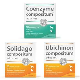SUC-Kombination von Heel Vet Set 30 St