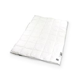 Kunstfaserbettdecke Stendebach "S-Loft Bettdecke, Allergiker geeignet (Hausstauballergiker)", beige (champagner), B:155cm L:220cm, Bezug: 100% Baumwolle. F&uuml;llung: 100% Polyester, Bettdecken, Bettdecke in 135x200 oder 155x220 cm, f&uuml;r Sommer oder Winter