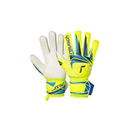 Torwarthandschuhe Reusch "Attrakt Advance Junior", Kinder, Gr. 4, gelb, blau, 34% Polyester, 25% Latex, 5% Polyurethan, 1% Baumwolle, Handschuhe, mit ergonomischen Schnitt