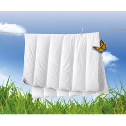 Microfaserbettdecke Billerbeck "Liliane, Bettdecke 135x200 cm, 155x220 cm, Sommer, Winter", wei&szlig;, B:135cm L:200cm, Bezug: 100% Baumwolle. Meshfutter: 100% Polyester, Bettdecken, Microfaserbettdecke, Die kuschelige Faserdecke f&uuml;r den Winter