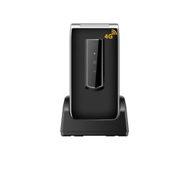 BEAFON SL495 LTE, Schwarz-Silber Handy
