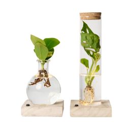 Tchibo - Wasserpflanze im Glas mit LED &raquo;Monstera und Clusia&laquo; - gr&uuml;n