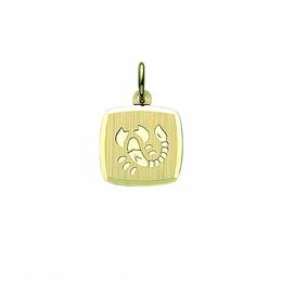 Adelia&acute;s Sternzeichenanh&auml;nger ADELIA&acute;S "Sternzeichen Anh&auml;nger Skorpion 333 Gold ( 8K )", gold, Schmuckanh&auml;nger, Damen, Sch&uuml;tze, Gold, Goldanh&auml;nger Skorpion