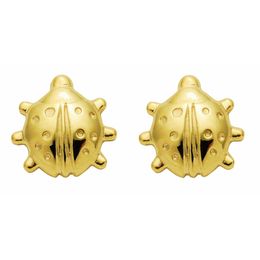 Adelia&acute;s Paar Ohrh&auml;nger ADELIA&acute;S "Marienk&auml;fer Ohrstecker Ohrringe 333 Gold ( 8K )", gold, Ohrringe, M&auml;dchen, Kinder, Gold, Goldohrringe Marienk&auml;fer