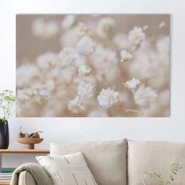 Bilderwelten Akustikbild Bl&uuml;tentr&auml;ume in Creme