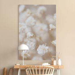 Akustikbild Bl&uuml;tentr&auml;ume in Creme