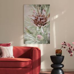 Bilderwelten Akustikbild | Wandbild schallabsorbierend - Trockenblume in Rosa und Gr&uuml;n