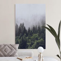 Bilderwelten Akustikbild | Wandbild schallabsorbierend - Wald im Nebel