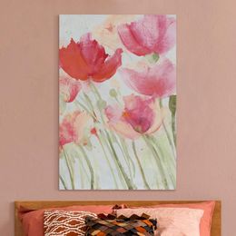 Akustikbild Mohnblumen im Sommerwind
