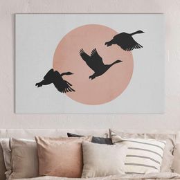 Bilderwelten Akustikbild | Wandbild schallabsorbierend - V&ouml;gel vor rosa Sonne III