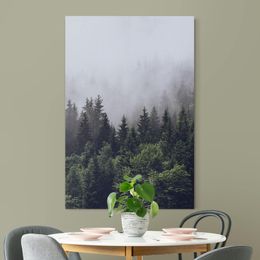 Akustikbild Wald im Nebel