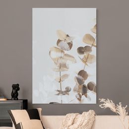 Akustikbild Goldene Eukalyptuszweige mit Wei&szlig; II