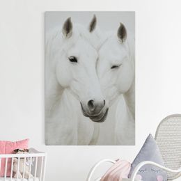 Bilderwelten Akustikbild | Wandbild schallabsorbierend - Pferdeliebe in Wei&szlig;