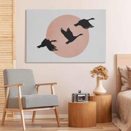 Bilderwelten Akustikbild | Wandbild schallabsorbierend - V&ouml;gel vor rosa Sonne III