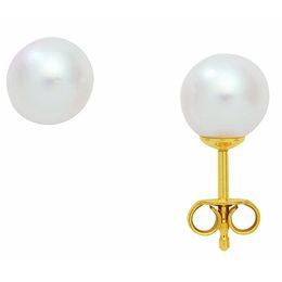 Adelia&acute;s Paar Ohrstecker ADELIA&acute;S "Perlen Ohrstecker Ohrringe 585 Gold ( 14K )", gold, Ohrringe, Damen, Damen, Gold, Goldohrringe Perle