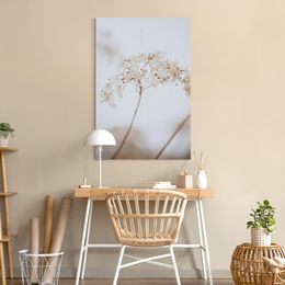 Bilderwelten Akustikbild | Wandbild schallabsorbierend - Zarte hellgelbe Trockenblume