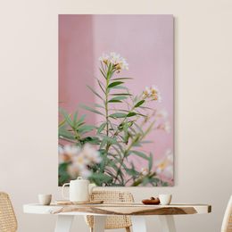 Bilderwelten Akustikbild | Wandbild schallabsorbierend - Sanfte Bl&uuml;ten vor Pink