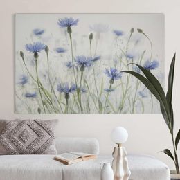 Bilderwelten Akustikbild | Wandbild schallabsorbierend - Kornblumen und Gr&auml;ser im Feld
