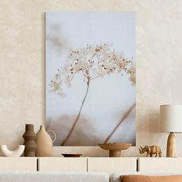 Bilderwelten Akustikbild | Wandbild schallabsorbierend - Zarte hellgelbe Trockenblume