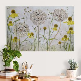 Bilderwelten Akustikbild | Wandbild schallabsorbierend - Allium und Helenium Illustration