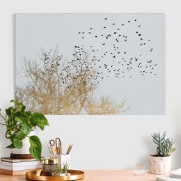 Bilderwelten Akustikbild | Wandbild schallabsorbierend - Vogelschwarm vor goldenem Baum