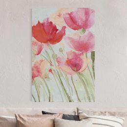 Bilderwelten Akustikbild | Wandbild schallabsorbierend - Mohnblumen im Sommerwind
