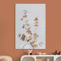 Akustikbild Goldene Eukalyptuszweige mit Wei&szlig;
